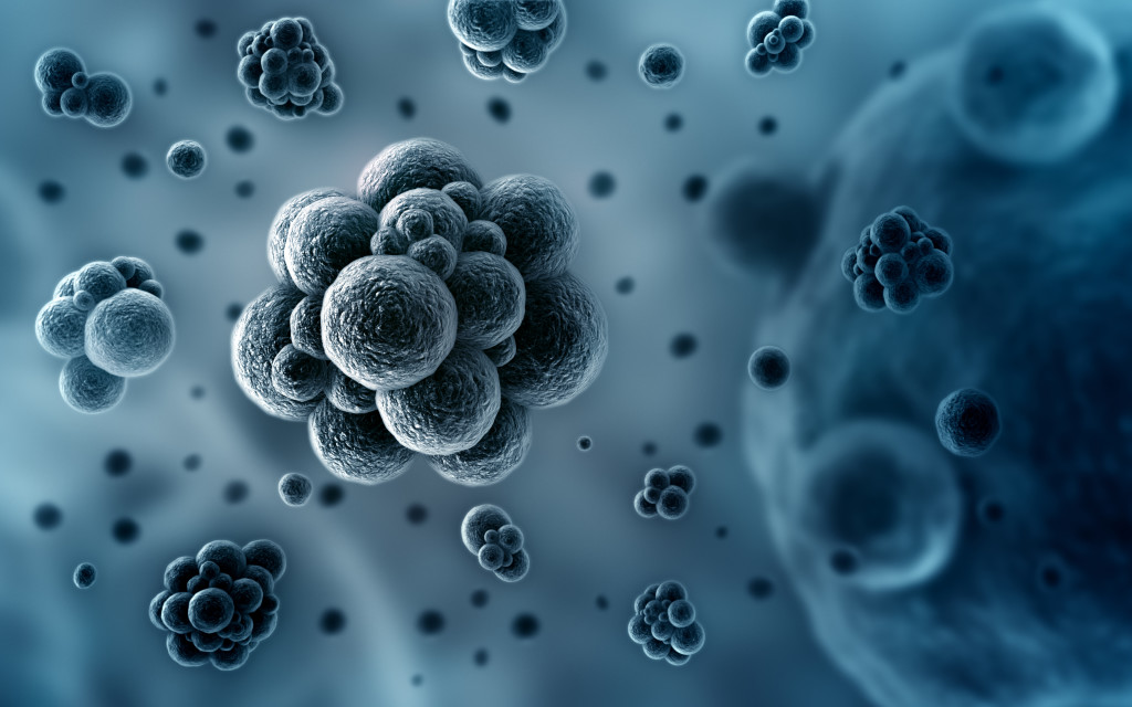 Bacteria Are Everywhere! - KidsPressMagazine.com